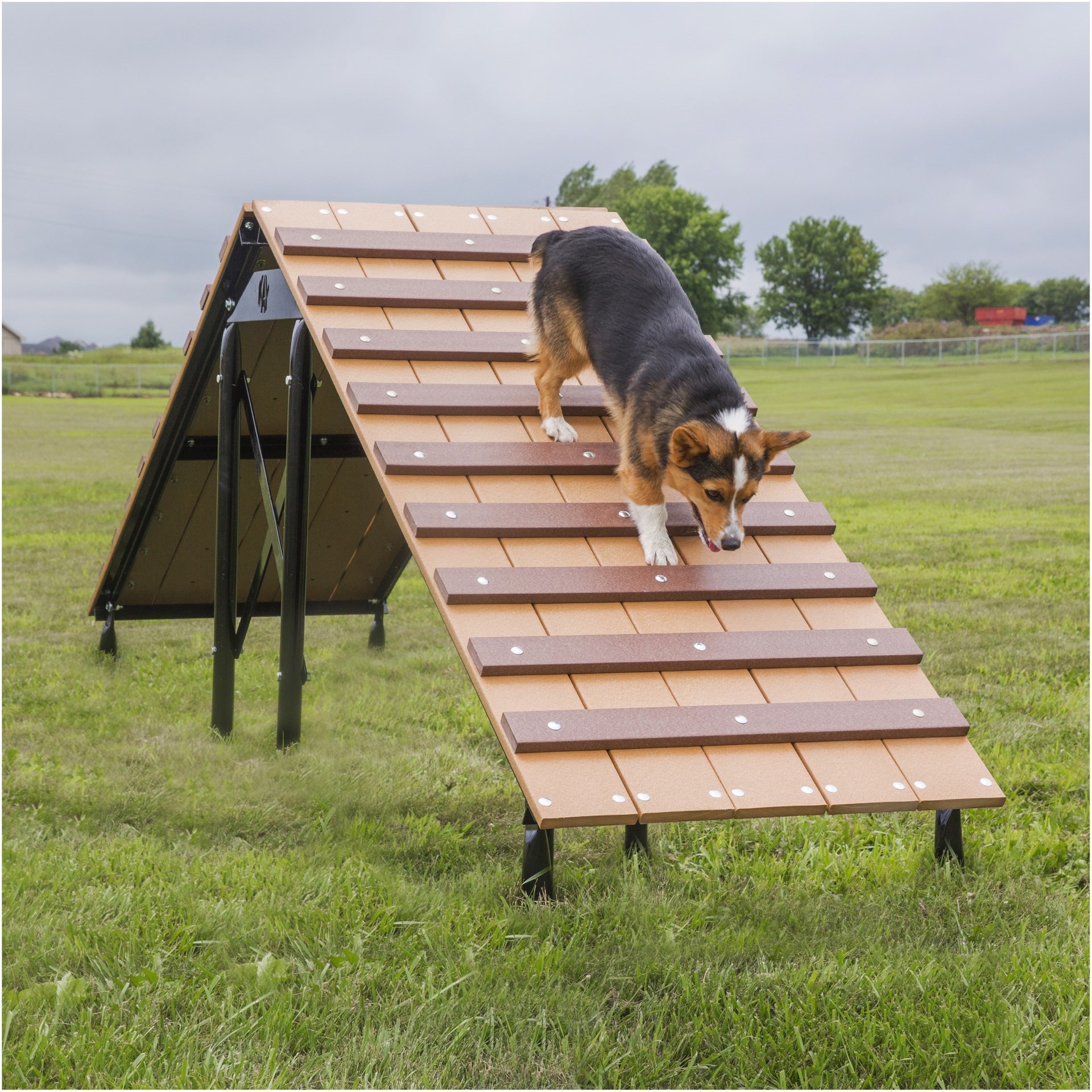 10 Ft. Dog Park Climbing Ramp with Recycled Plastic Planks - Park table