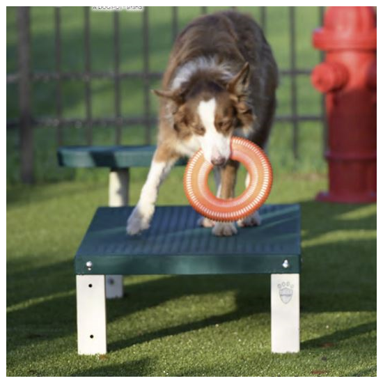 Dogipot Thermoplastic Dog Table - Park table