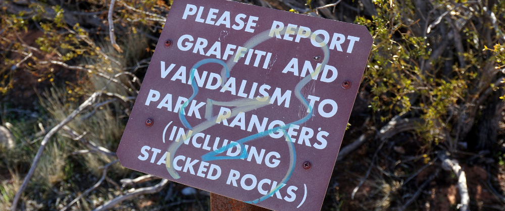 What can the community do to keep their local park clean and healthy ...