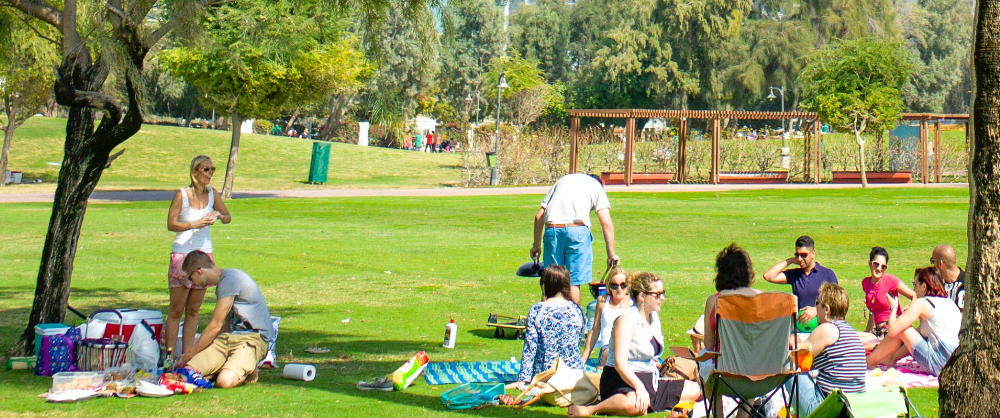 What can the community do to keep their local park clean and healthy ...